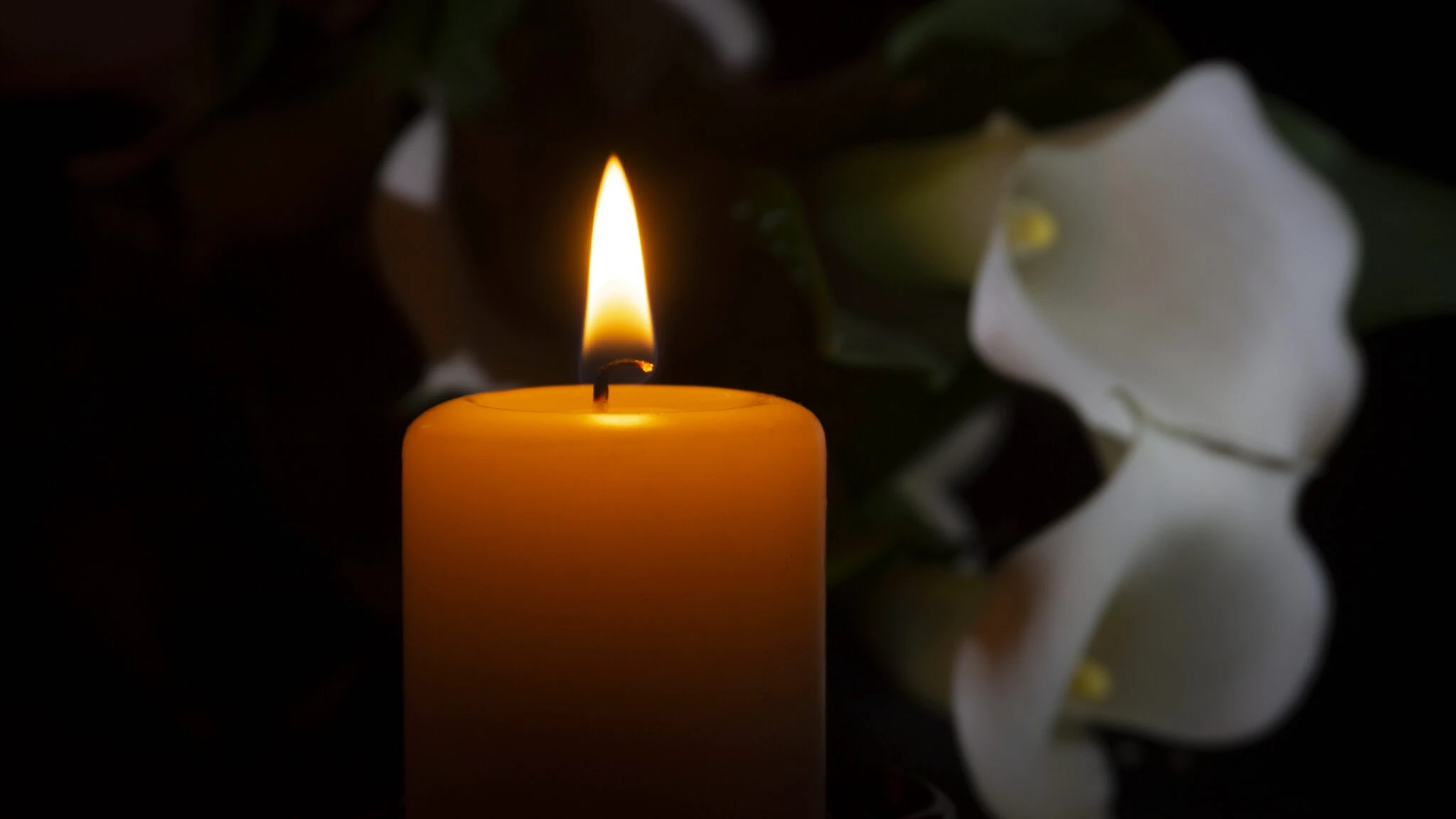 Un actor de renume mondial s-a stins din viață. Era apreciat pentru ...